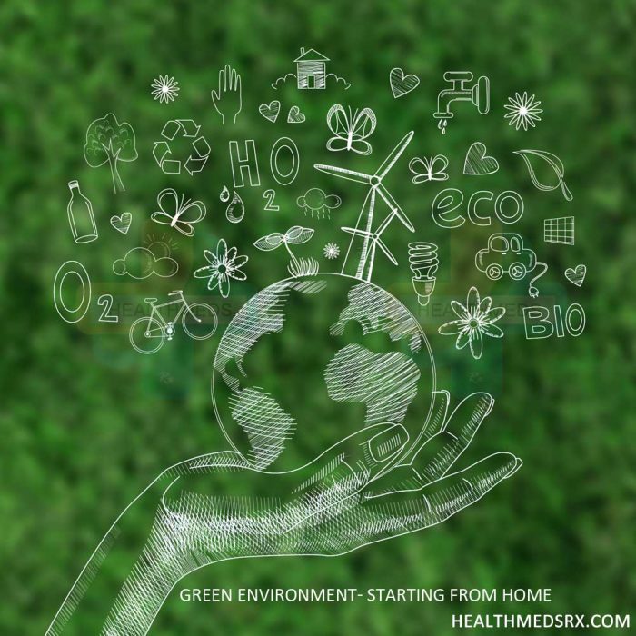 Green Environment- 7 Proven Ways to Start from Home - HealthMedsrx.com